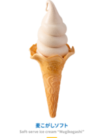 江の島の新名物 | 江の島プリン